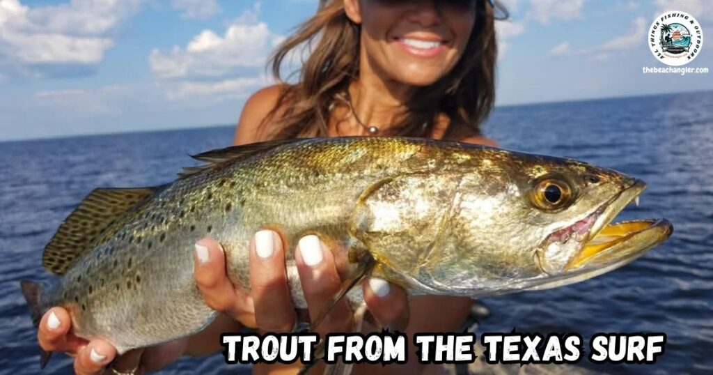 7 Basics of an Inshore Saltwater Fishing Setup For Beginners - The ...