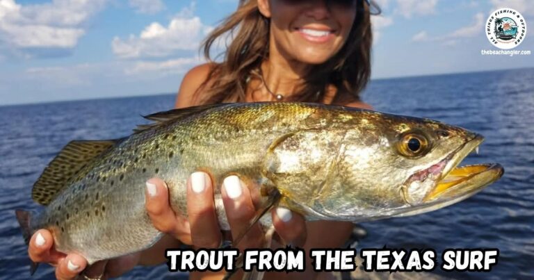 5 Tips For Fishing The Fall Bull Redfish Run - The Beach Angler