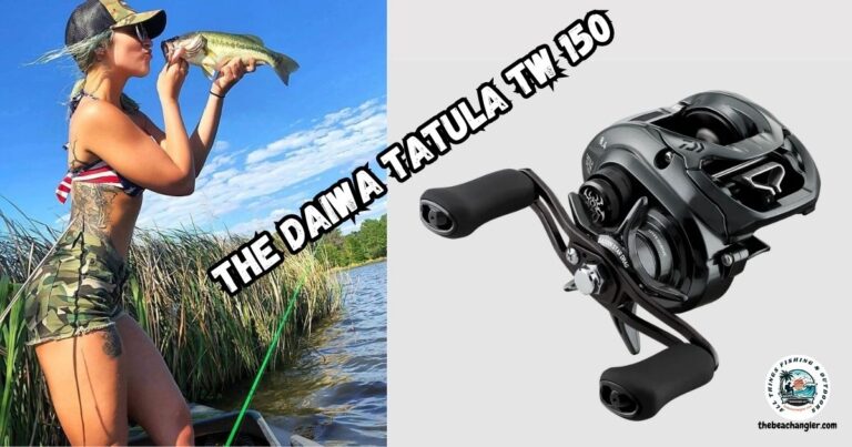 The 4 Best Shark Rigs For Surf Fishing - The Beach Angler