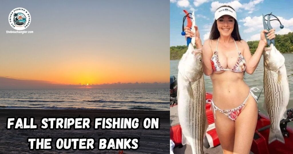 5 Tips For Fishing The Fall Bull Redfish Run - The Beach Angler