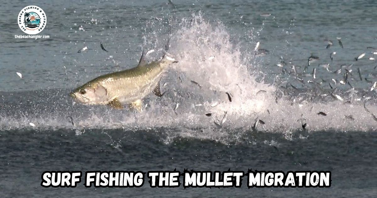 7 Advantages of The FluxJet Kayaks' Kymera Electric Jet Fishing Kayak ...