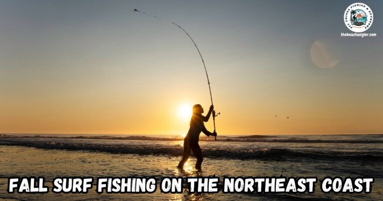 6 Tips for Mastering Surf Casting Techniques - The Beach Angler