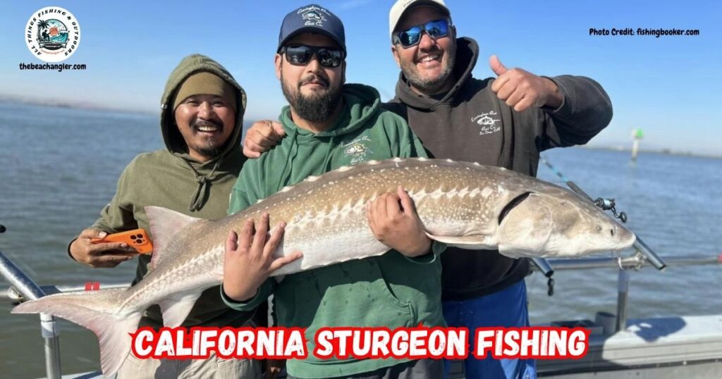 7 Top Electric Fishing Reels For Saltwater - The Beach Angler