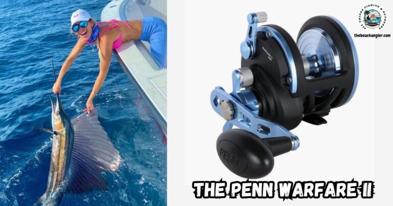 7 Basics of an Inshore Saltwater Fishing Setup For Beginners - The ...