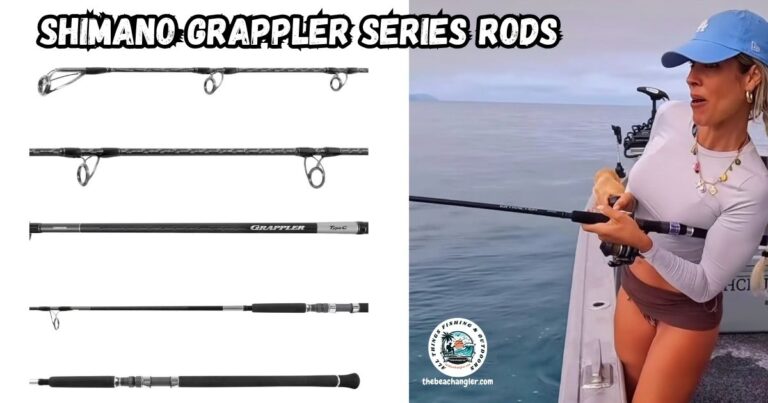 The 4 Best Shark Rigs For Surf Fishing - The Beach Angler