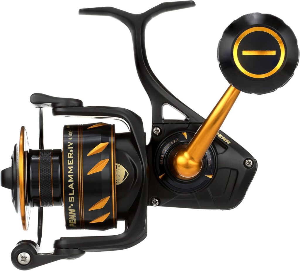 Top Spinning Reels For Surf Fishing - The Beach Angler