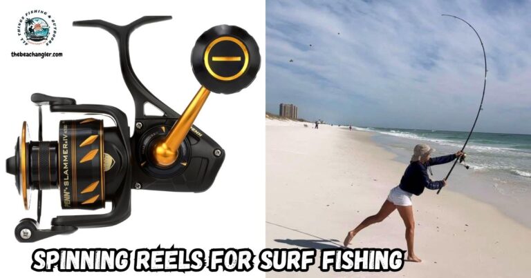 Top Spinning Reels For Surf Fishing - The Beach Angler