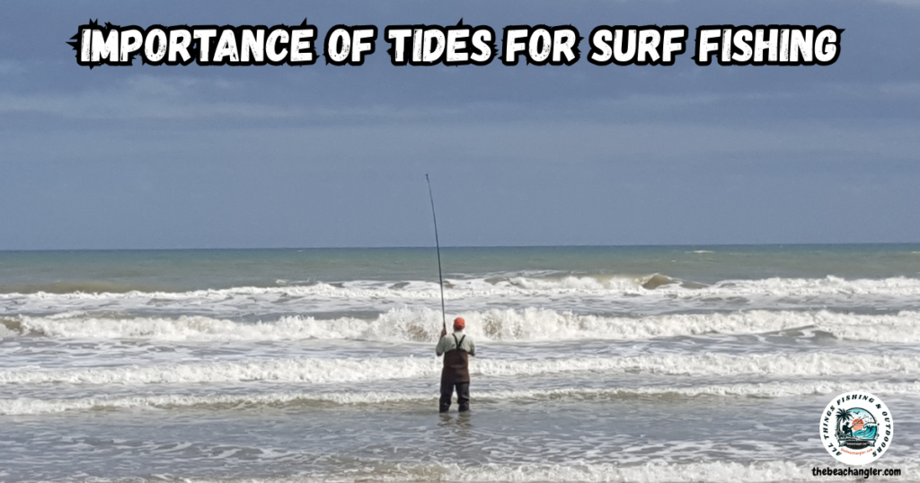 5 of the Best Inshore Rod And Reel Combos For Beginners - The Beach Angler